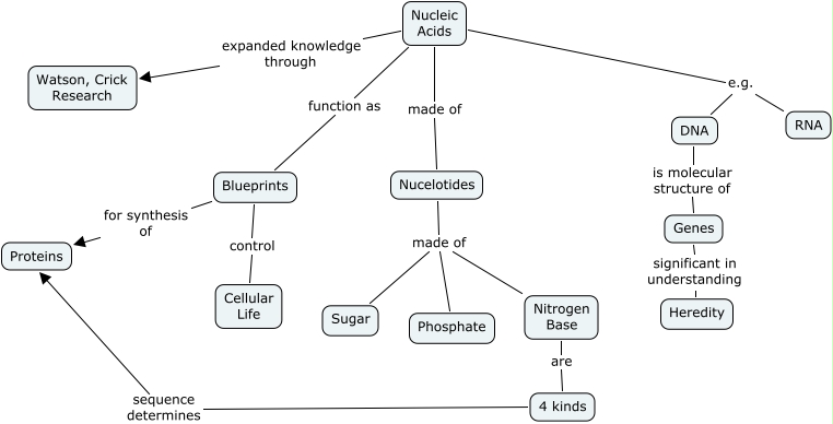 Nucleic Acids - What is the structure, function, significance of nucleic acids?